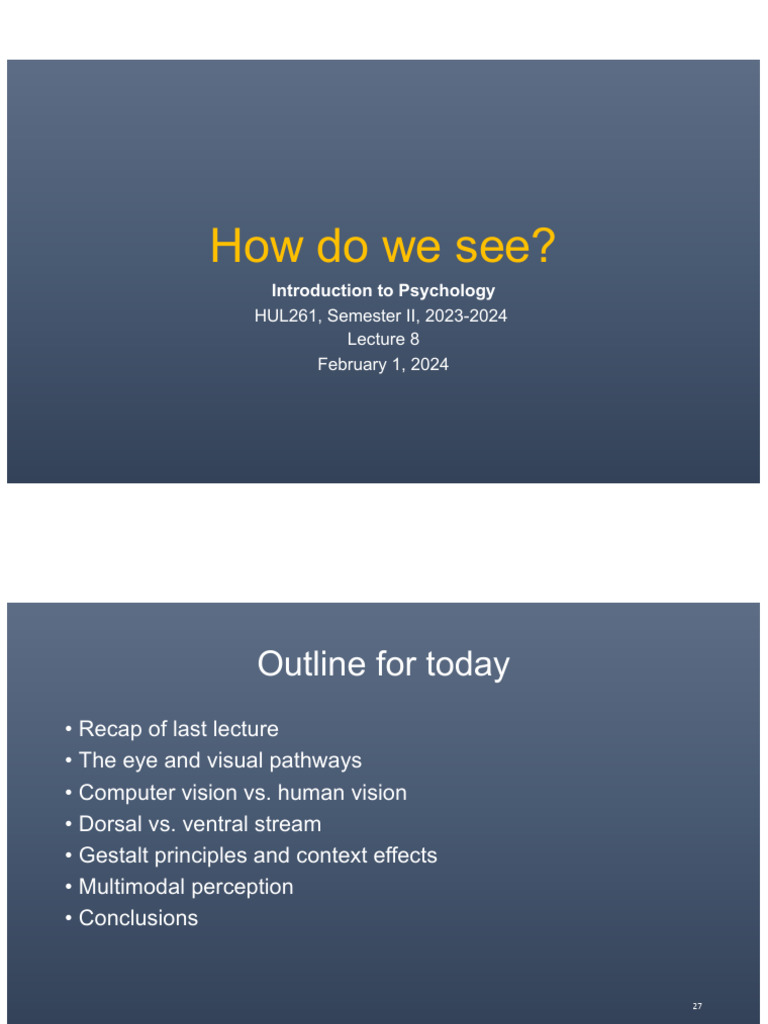 Lecture 8 | Download Free PDF | Visual Cortex | Visual System