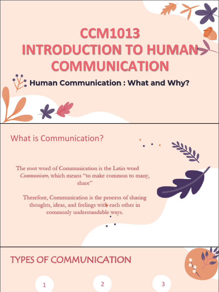 CCM1013 Chapter 1 - Introduction to Human Comm copy | PDF ...