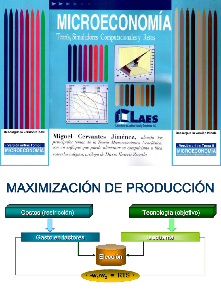 Micro 18 Maxproduccion | Descargar gratis PDF | Microeconomía ...