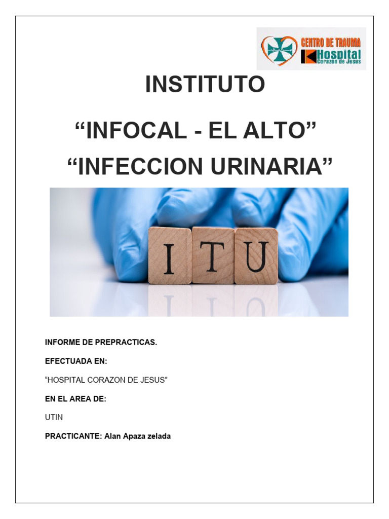 Uti 2024 | PDF | Infección del tracto urinario | Medicina CLINICA