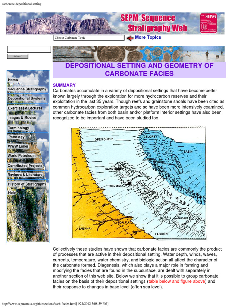 Carbonate Depositional Setting | PDF | Sedimentary Rock | Reef