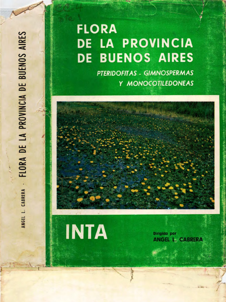 CABRERA ANGEL- FLORA DE LA PROVINCIA DE BUENOS AIRES -COLECCION CIENTIFICA_TOMO 04 PARTE 1 | PDF ...