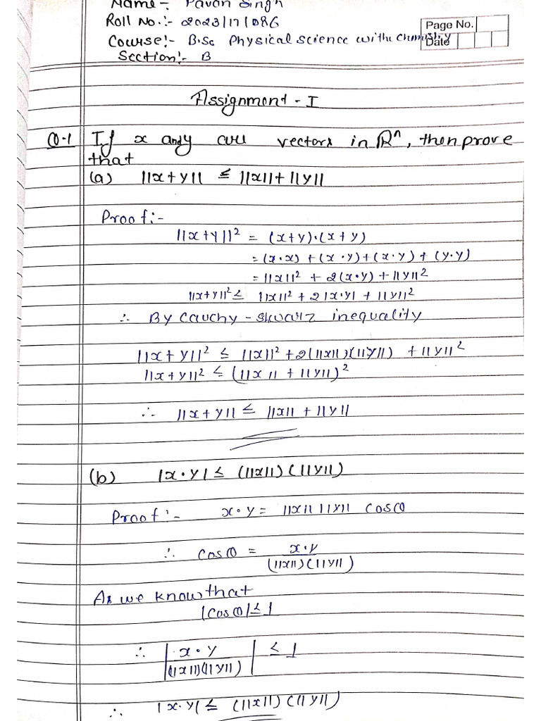 Assignment of BSC Math Honours DU | PDF