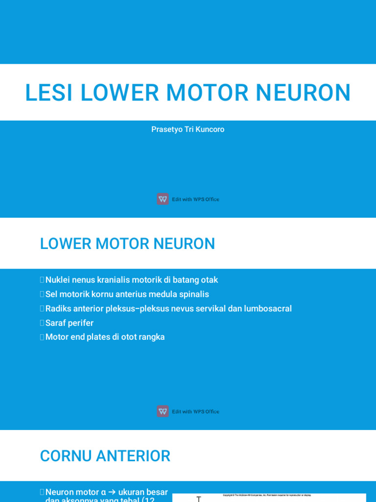 Lesi Lower Motor Neuron dan Dampaknya | PDF