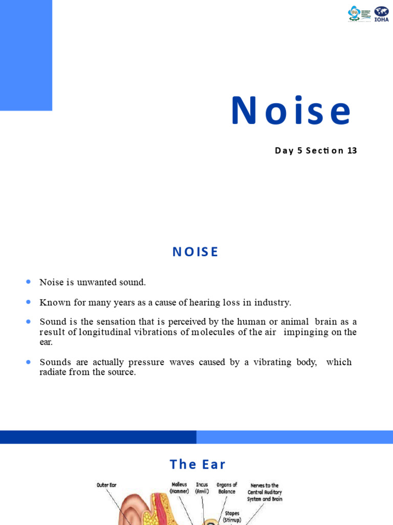 D2S10 Noise | PDF | Sound | Noise