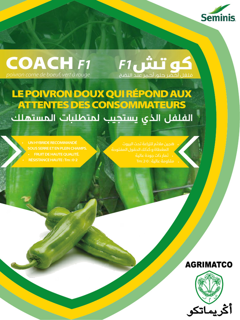COACH | PDF
