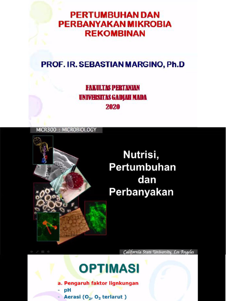 Pertumbuhan Dan Perbanyakan Mikrobia Rekombinan | PDF