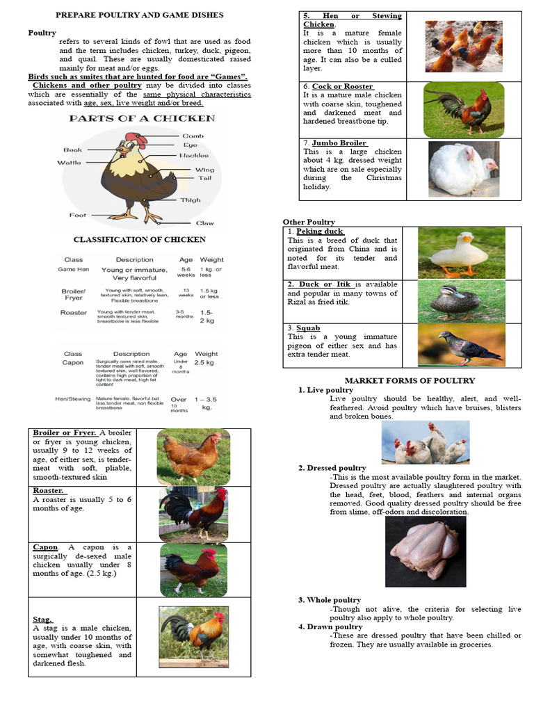 Lesson 2 - Prepare Poultry and Game Dishes Notes | PDF | Poultry | Chicken