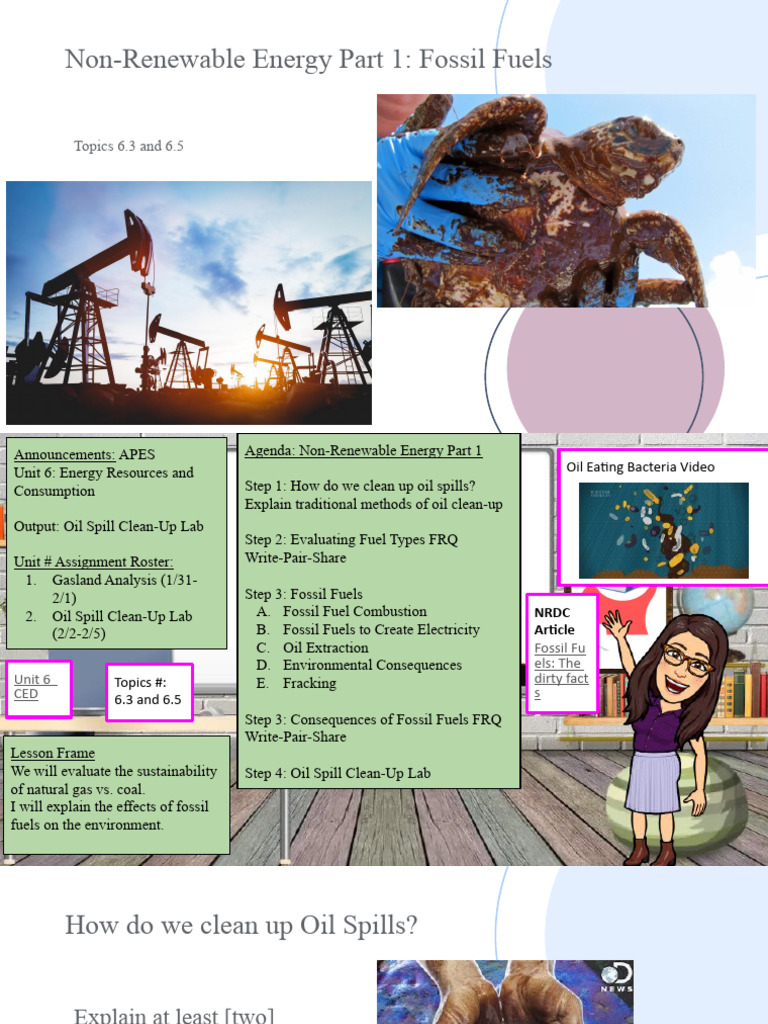 Evaluating Petroleum's Sustainability | PDF | Petroleum | Fuels