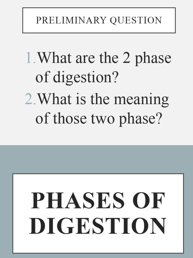 Digestive System 2 Phase of Digestion | PDF | Digestion | Stomach