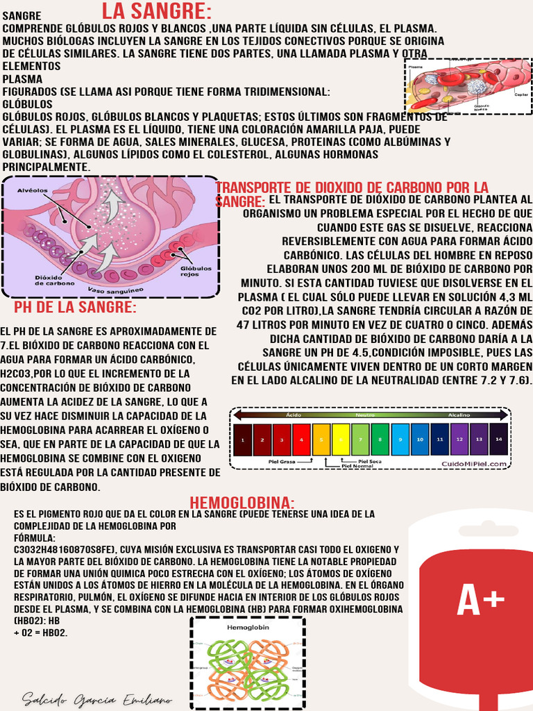 Tarea Anto | PDF | Sangre | Leucocito
