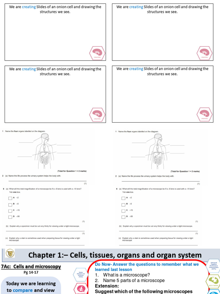 Chapter 1 Cells Tissues Organs and Organ System | PDF | Microscope ...