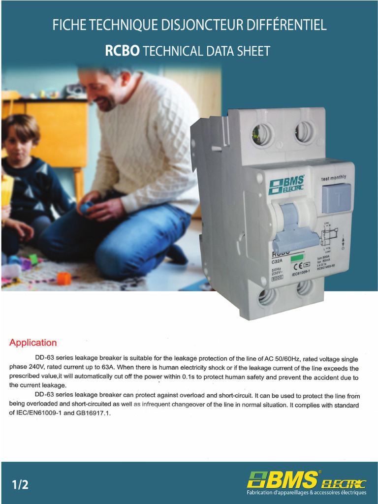 Fiche Technique RCCB DD | PDF