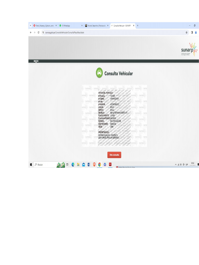 consulta vehicular | PDF