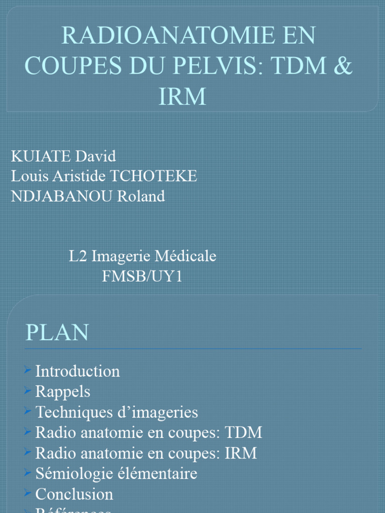 Radio-anatomie du pelvis: TDM & IRM | PDF | Tomodensitométrie | Système ...