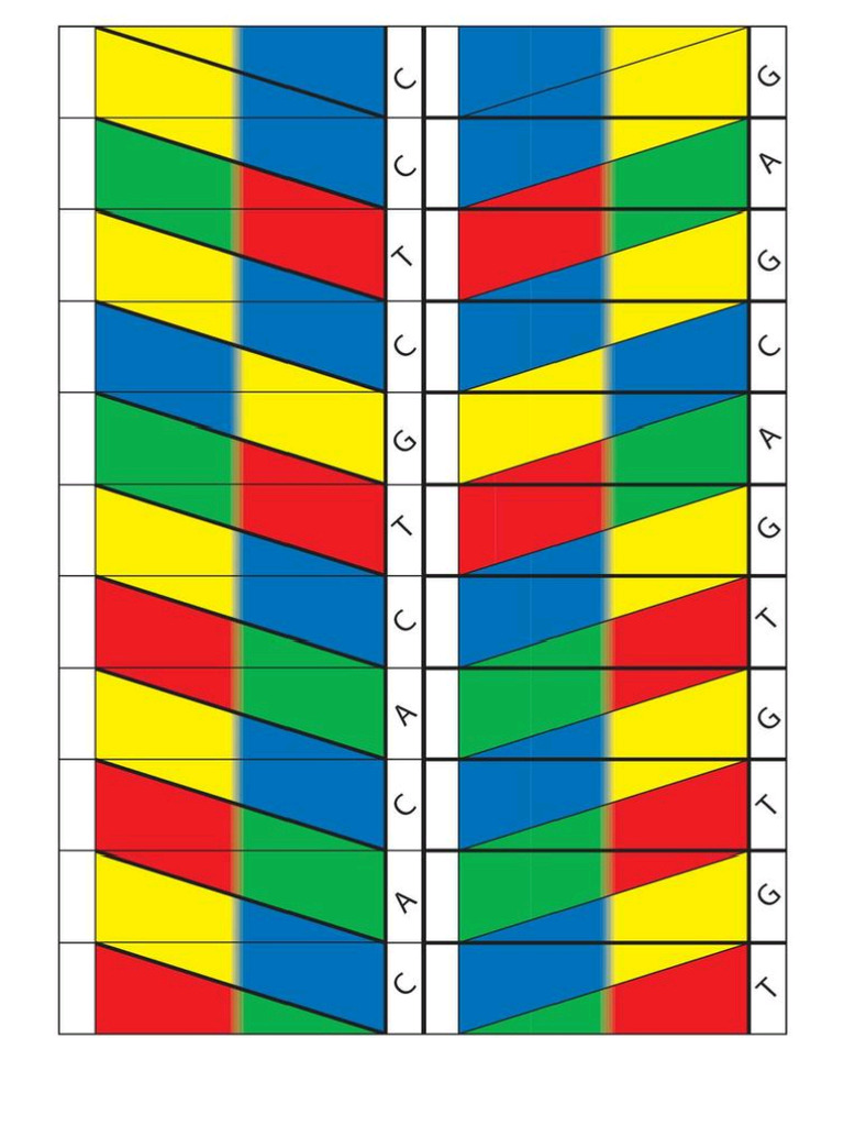 Dna Origami Template Printable | PDF