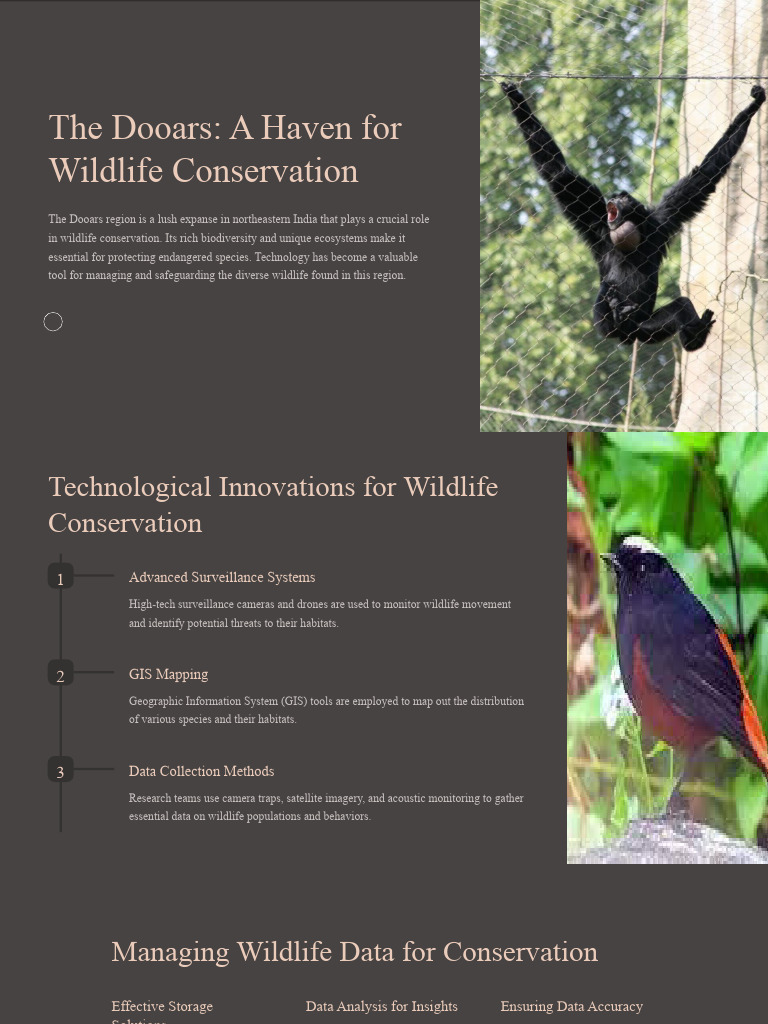 The Dooars a Haven for Wildlife Conservation | PDF | Conservation Biology | Geographic ...