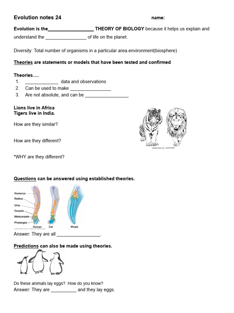 Guided Notes Evolution Bio 24 | Download Free PDF | Evolution | Genetic ...