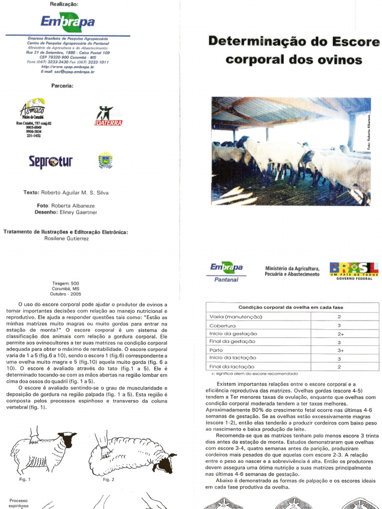 Ecc-Ovinos Embrapa | PDF