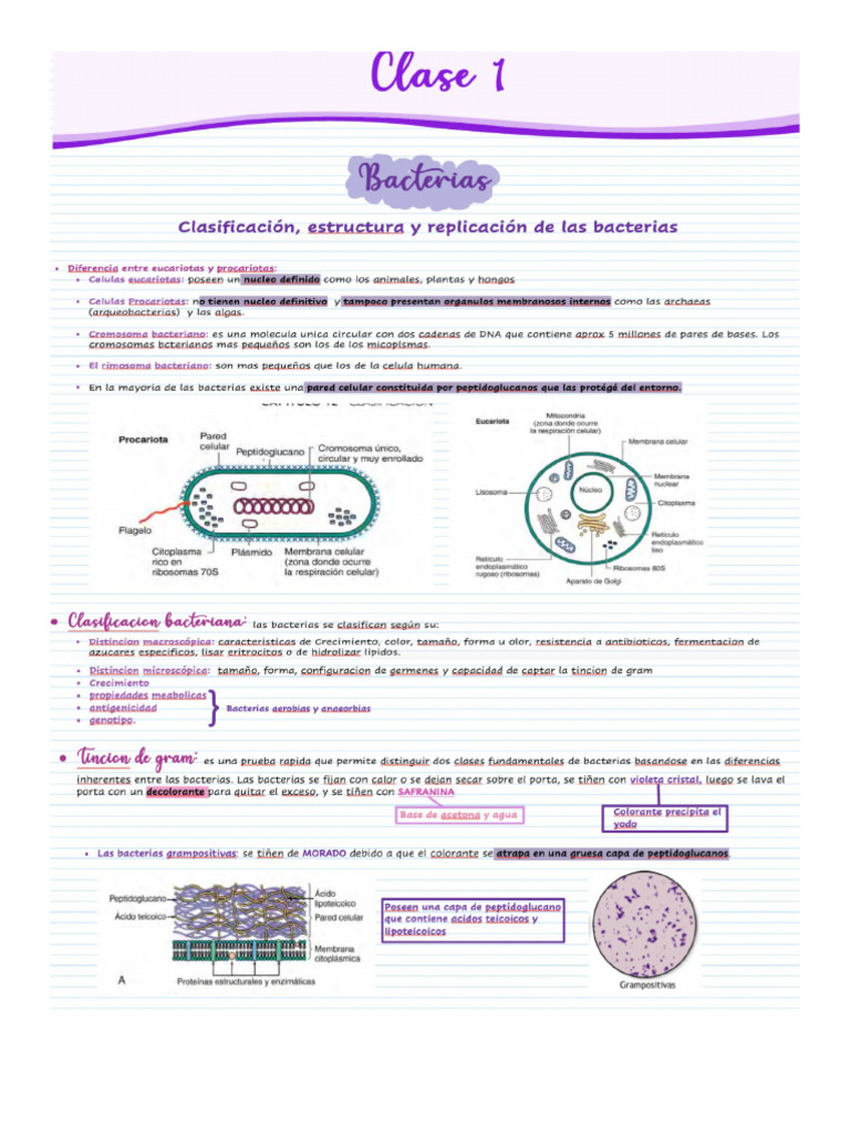 Word de Apunte Micro | PDF