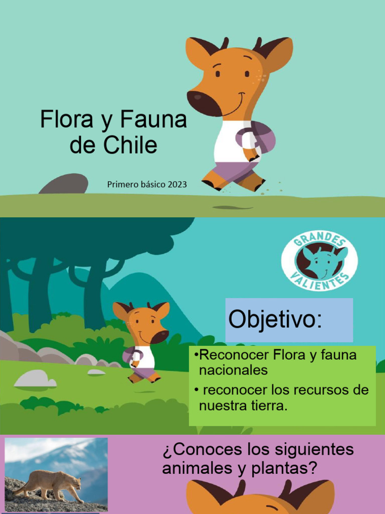 Flora y Fauna | PDF | Chile | Clima