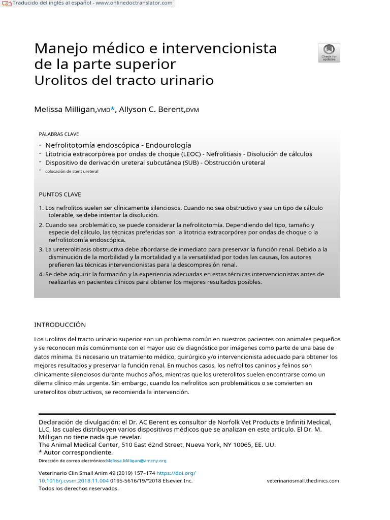 Urolitos en Es | PDF | Calcio | Stent