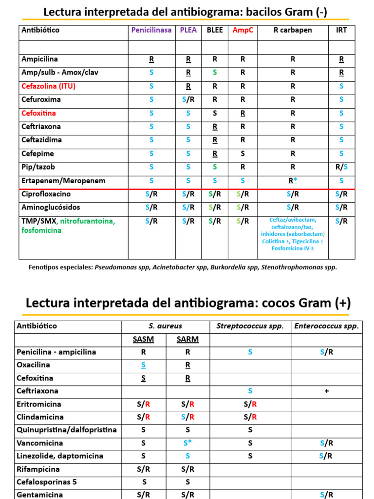 Interpretación de Antibiogramas Gram (+/-) | PDF | Antibióticos