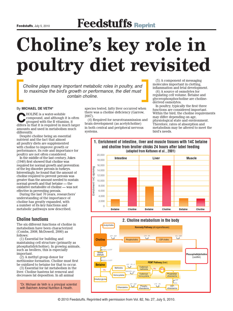 Choline's Essential Role in Poultry Diets | PDF | Methionine | Biochemistry
