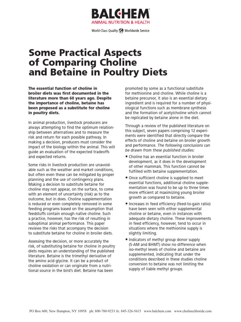 Choline vs. Betaine in Broiler Diets | PDF | Methionine | Dietary ...