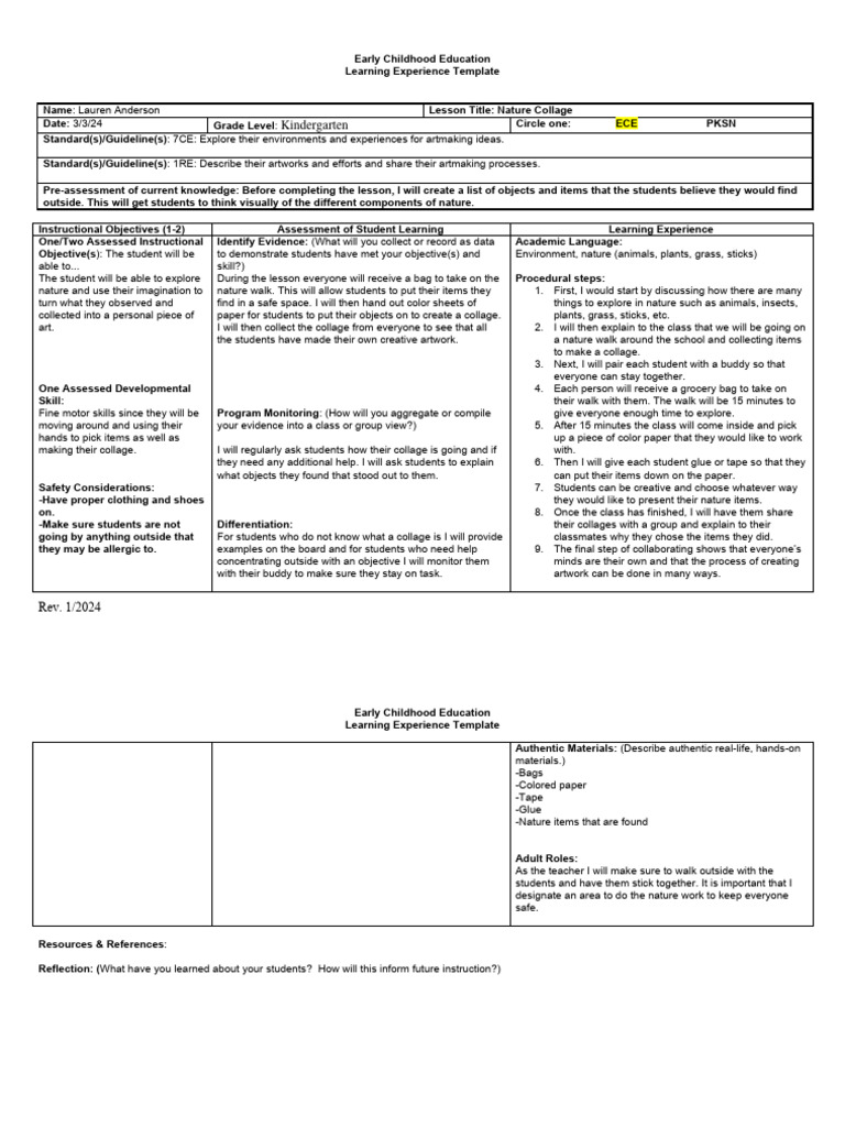 Ece Lesson Plan Template 11 | PDF | Experience | Learning