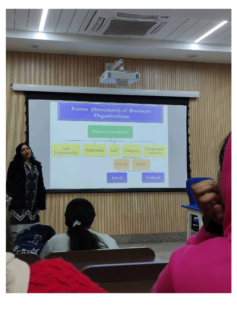 Legal Business Structure | PDF