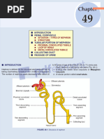 Label The Nephron Worksheet | PDF