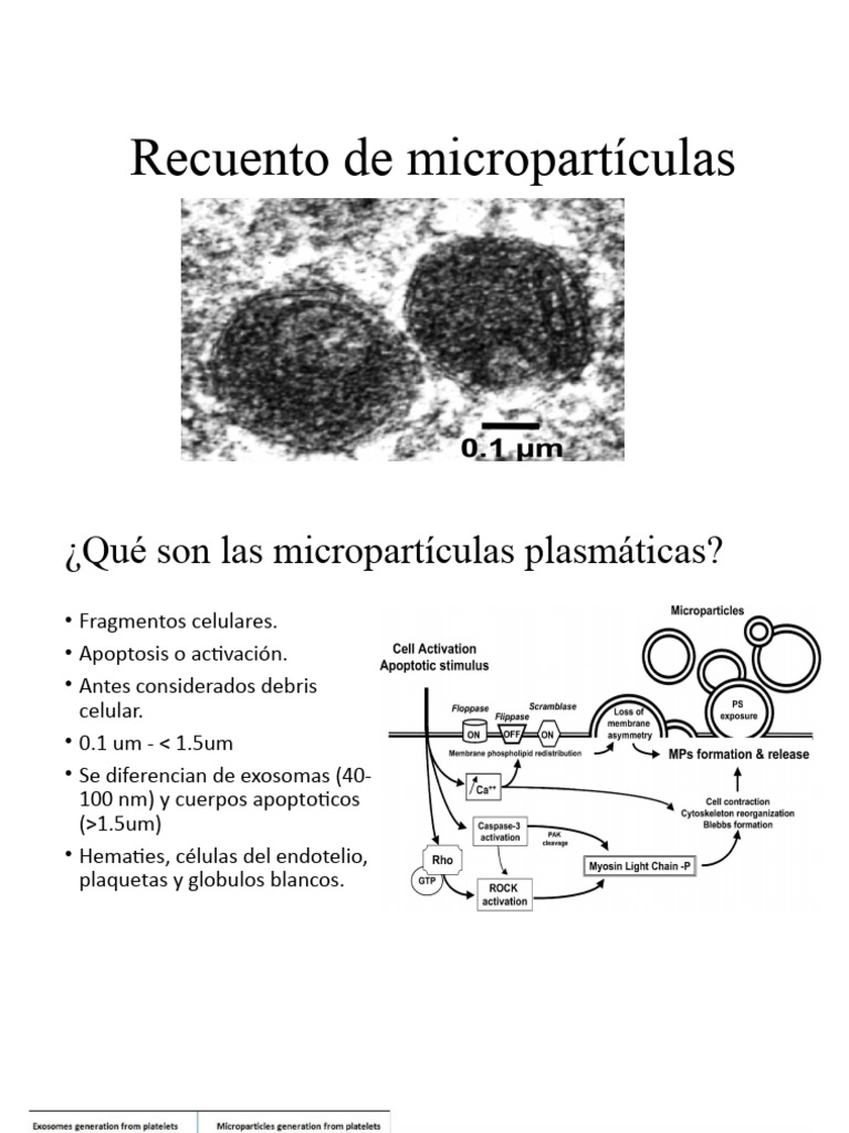 Cuantificación y Métodos de Micropartículas | PDF | Citometría de flujo ...