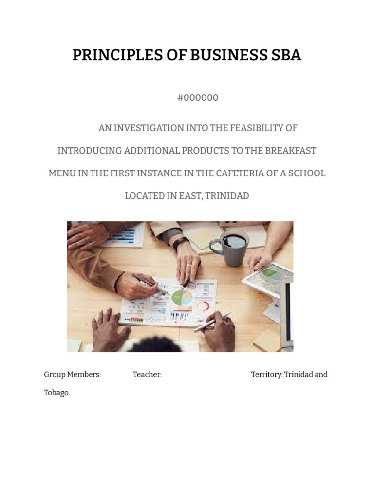 Principles of Business Sba | PDF | Marketing | Option (Finance)