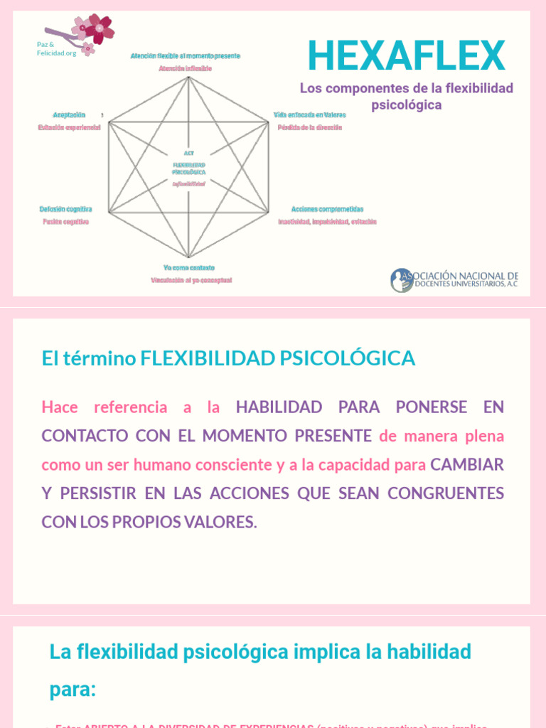 ACT - Hexaflex | PDF | Pensamiento | Sicología
