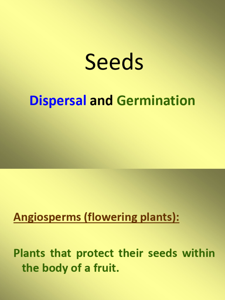 Seeds: Dispersal | PDF | Seed | Flowers