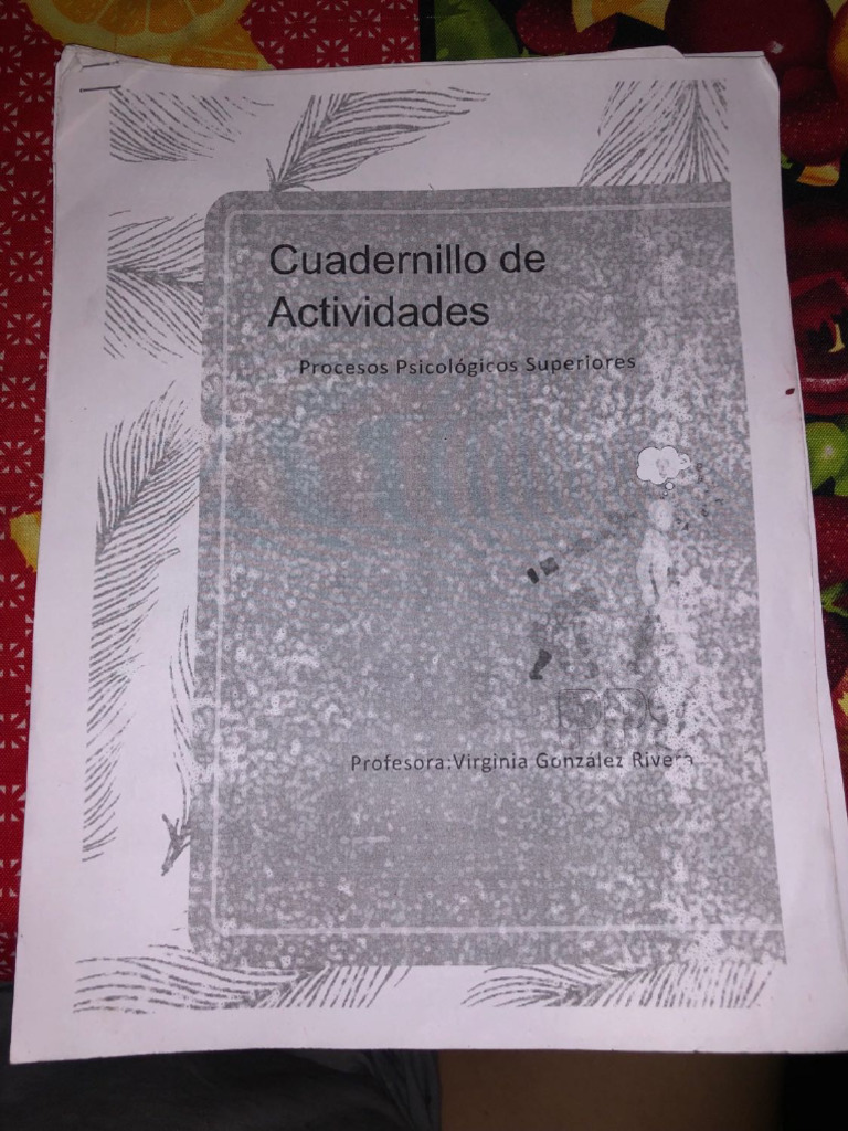 Cuadernillo de Actividades | PDF