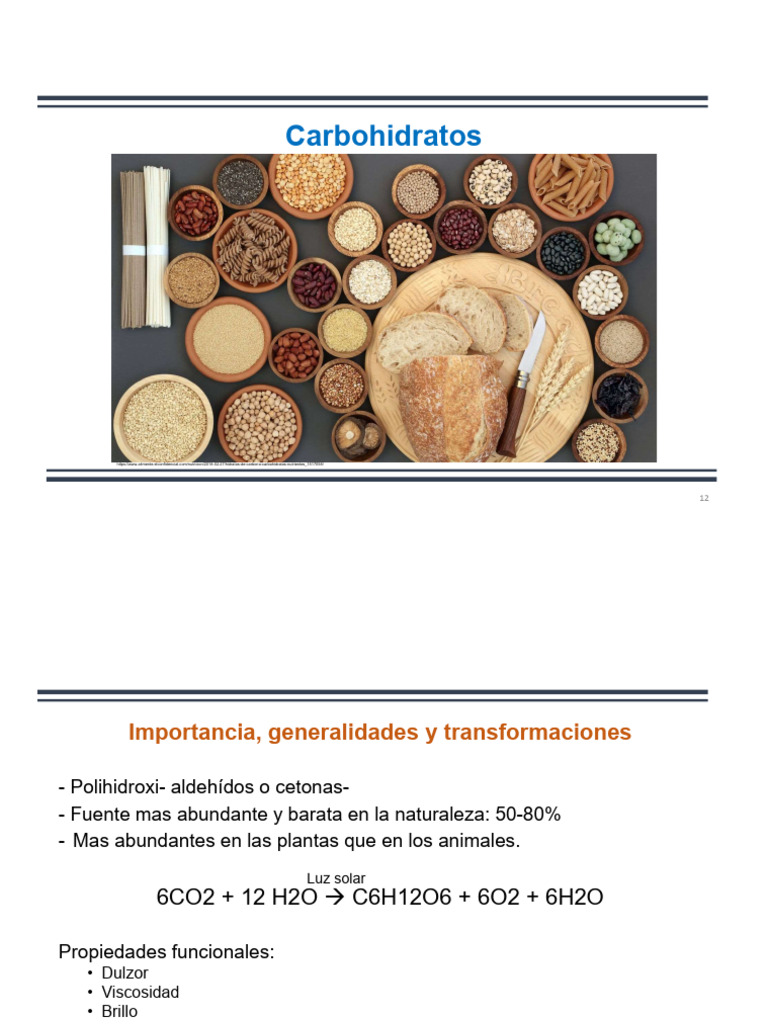 Biomolécula Carbohidratos | PDF | Polisacárido | Carbohidratos