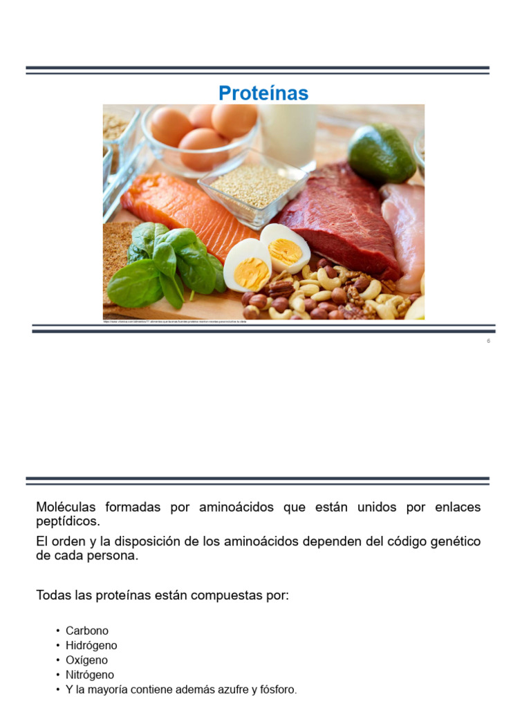 Biomolécula Proteinas | PDF | Proteínas | Alimentos