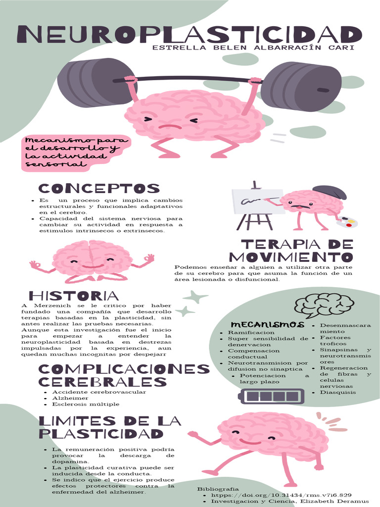 Infografia Neuroplasticidad | PDF | Neuroplasticidad | Cerebro