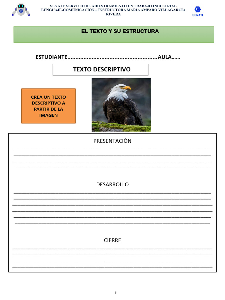 Estructura del Texto Descriptivo en SENATI | PDF | Arte | Tecnología