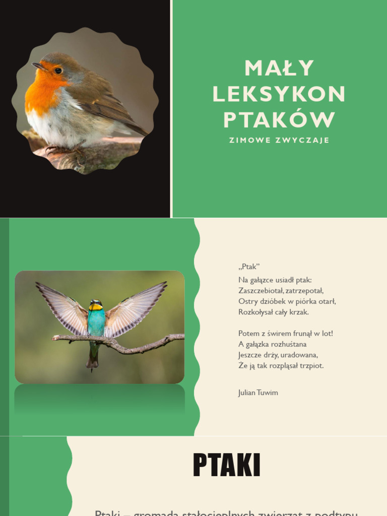 Mały Leksykon Ptaków | PDF
