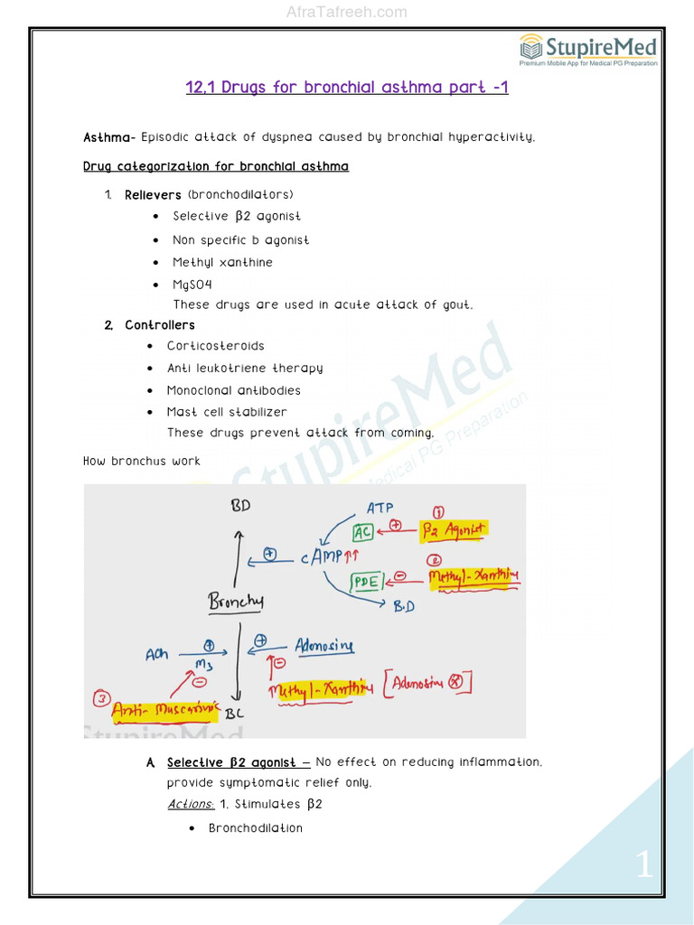 Pharma - Respiratory System Atf | PDF