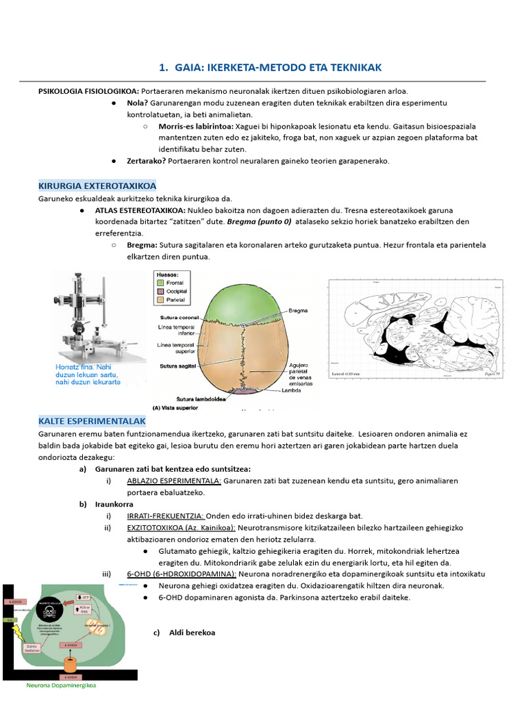 FISIO 1 Repaso | PDF