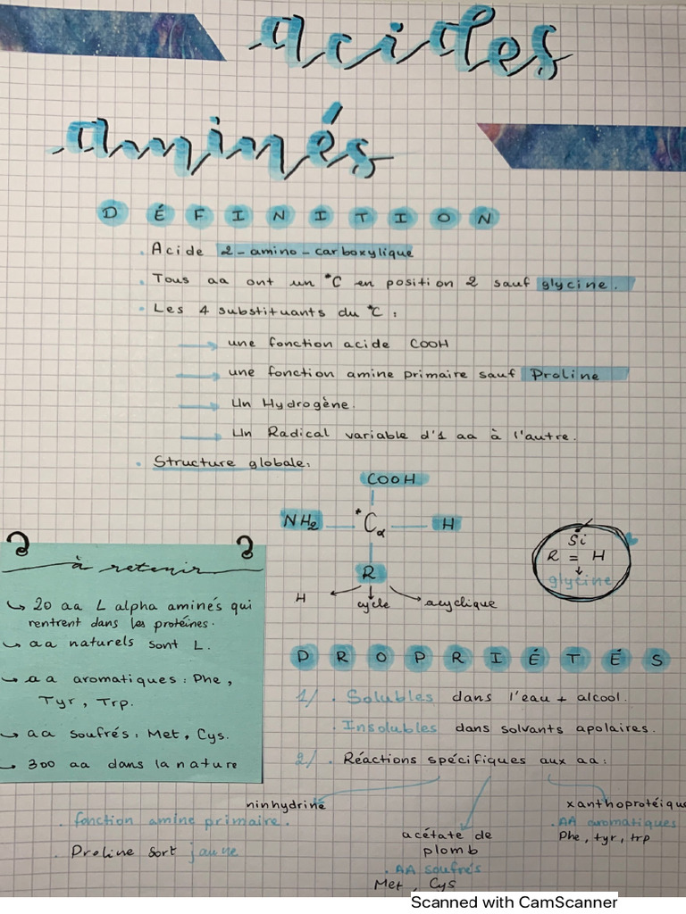 Les Acides Aminés Prof Chellak | PDF