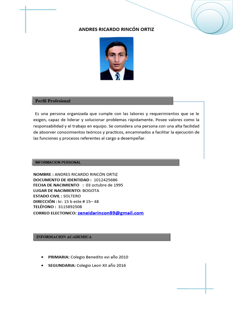 Hoja de Vida Andres | PDF