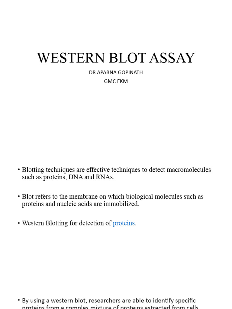 WESTERN BLOT ASSAY (Autosaved) | PDF | Western Blot | Blot (Biology)