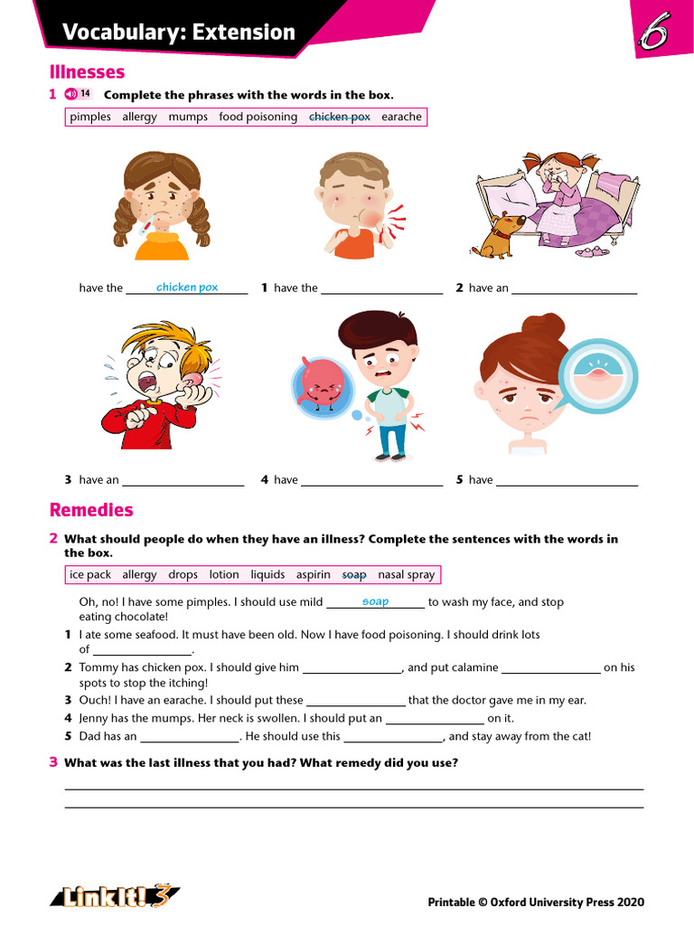 LI L3 Vocabulary Extension-6 | PDF