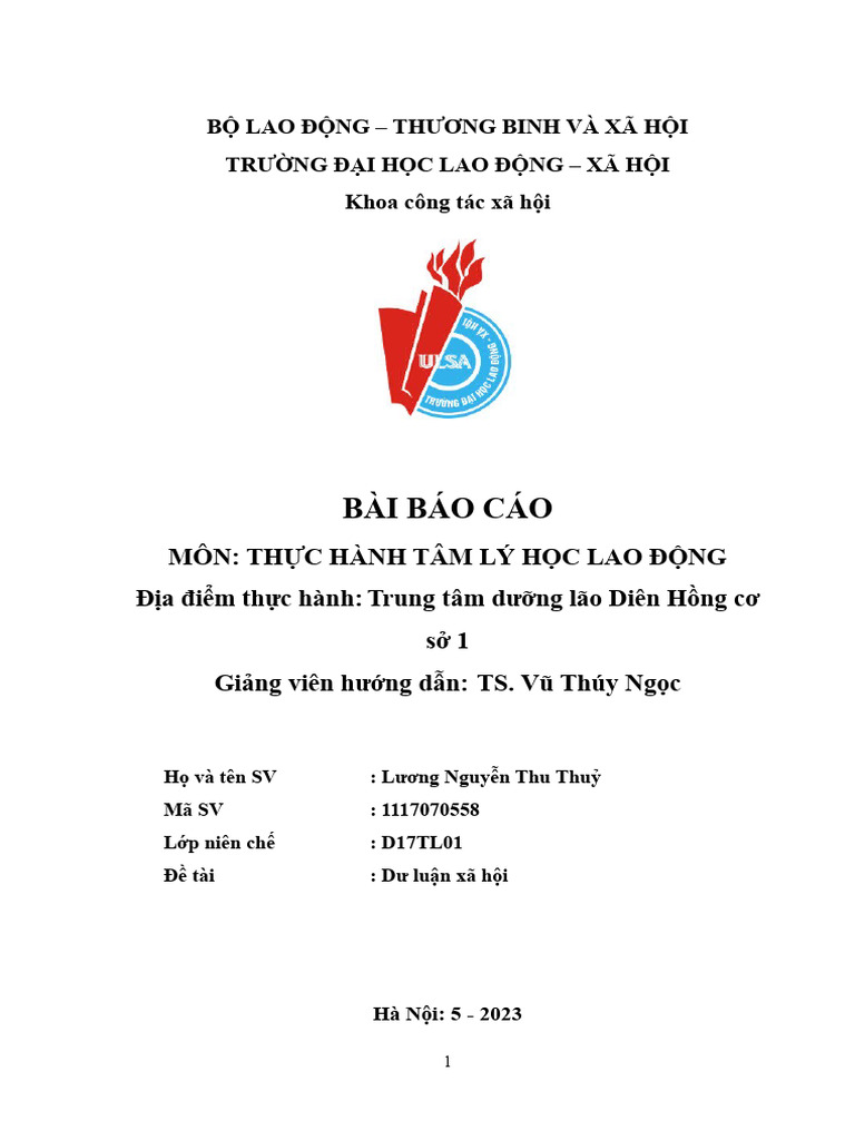 Báo Cáo Nhóm TLH Xã H I | PDF