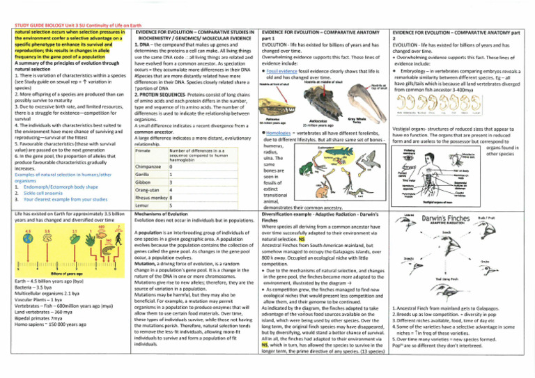 Continuity of Life On Earth 1 Evidence For Evolution | PDF